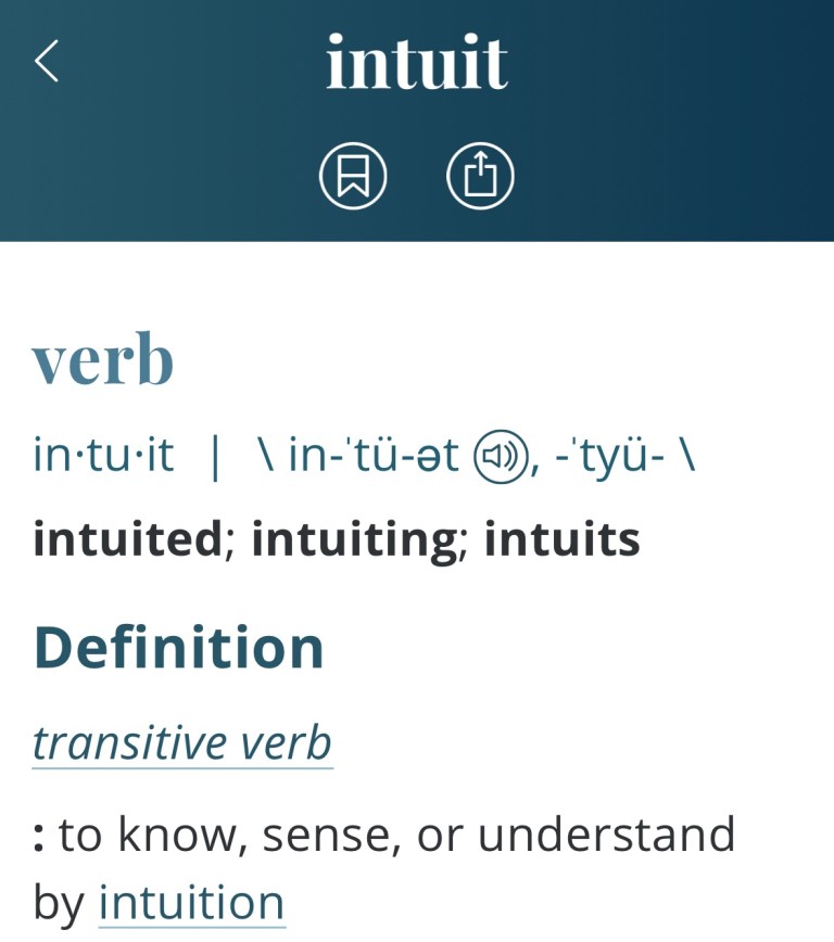 Steve Balmer, the man behind the Intuit Dome, and owner of LA Clippers ...