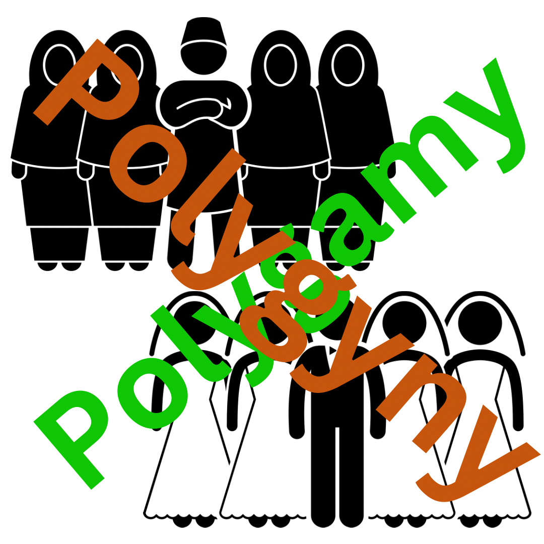 The Polygamous Family | Think-Talk